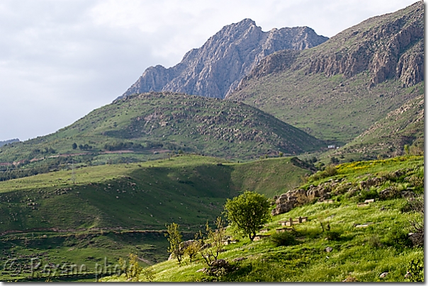 Kwane – Duhok | Roxane photo Blog